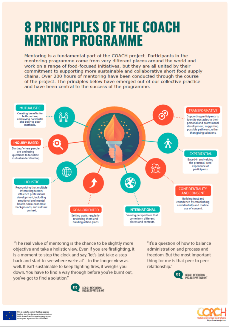 Infographic on COACH mentoring principles - Urgenci Hub